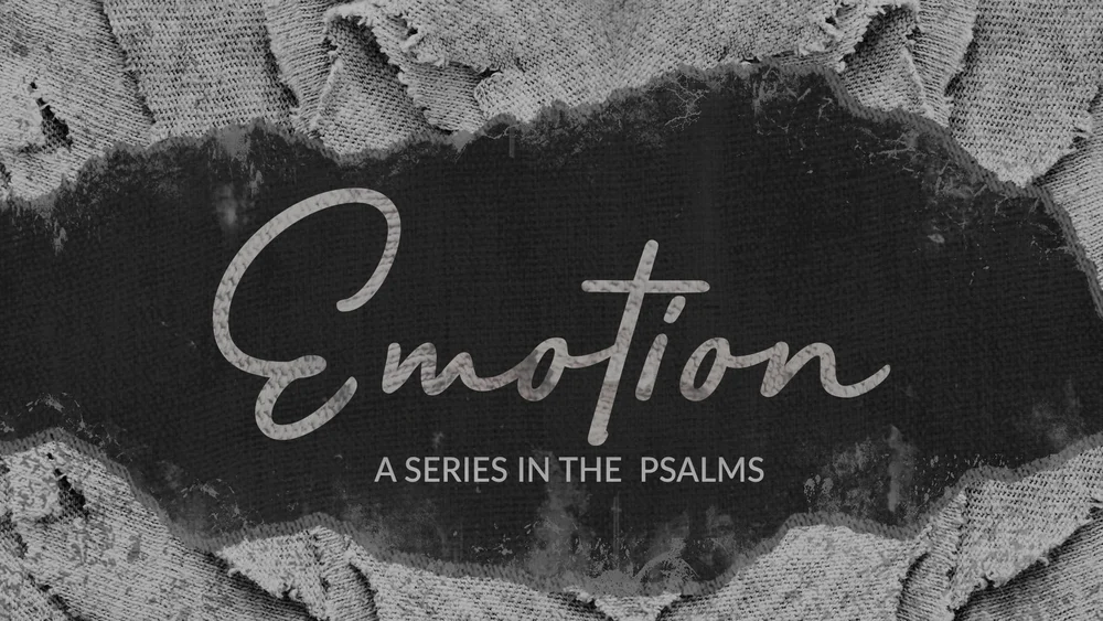 Emotion Series — Life Pointe Church