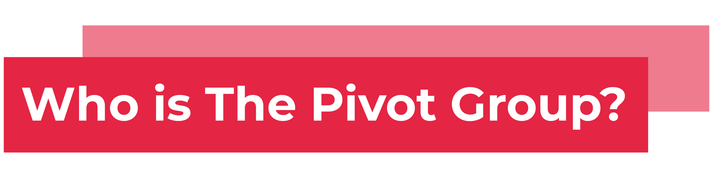 The Pivot Group