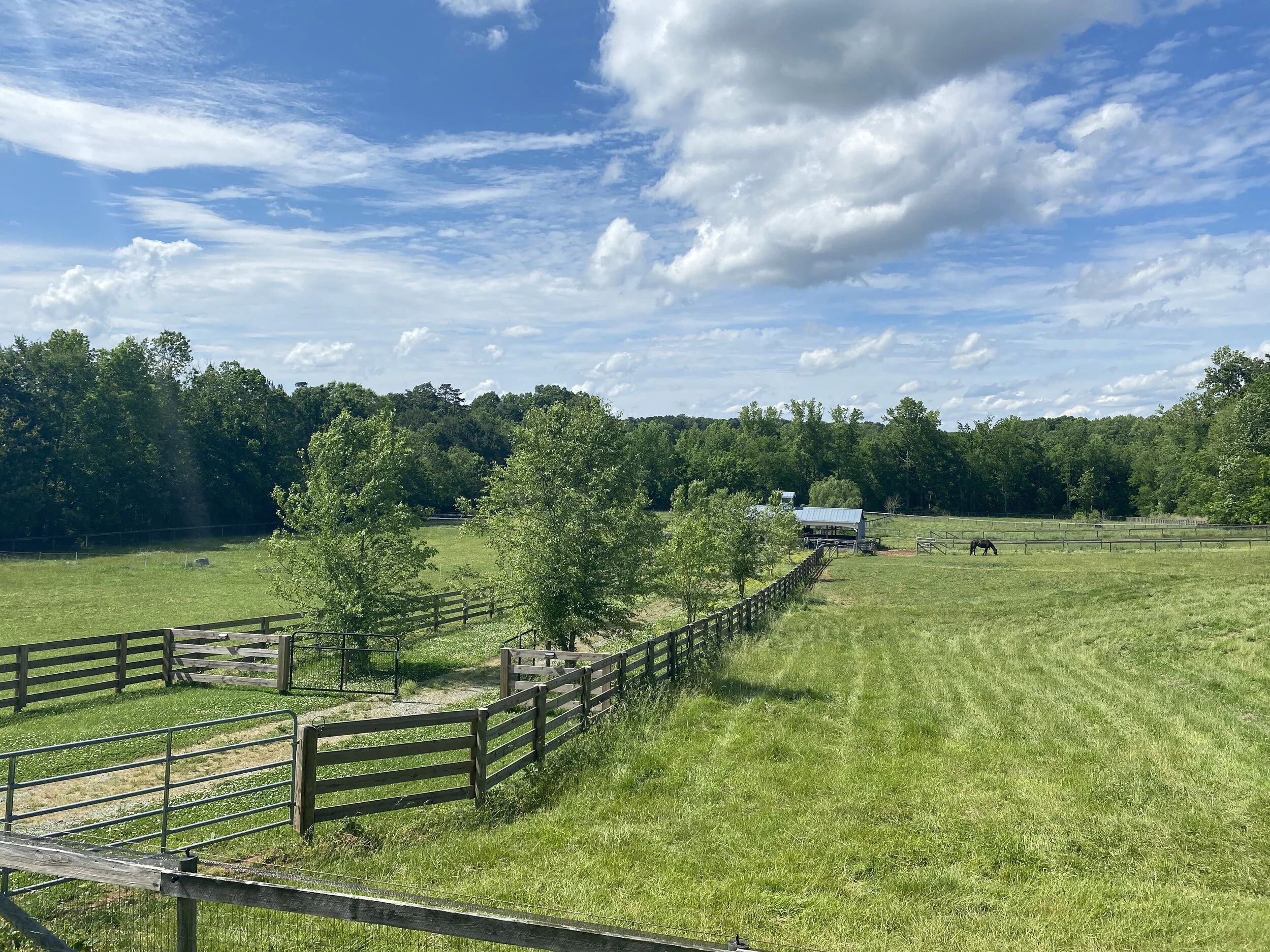 The Farm — Blume Farm Warmbloods-Home