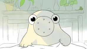 Socks Whitmore — Actor - Voice Over