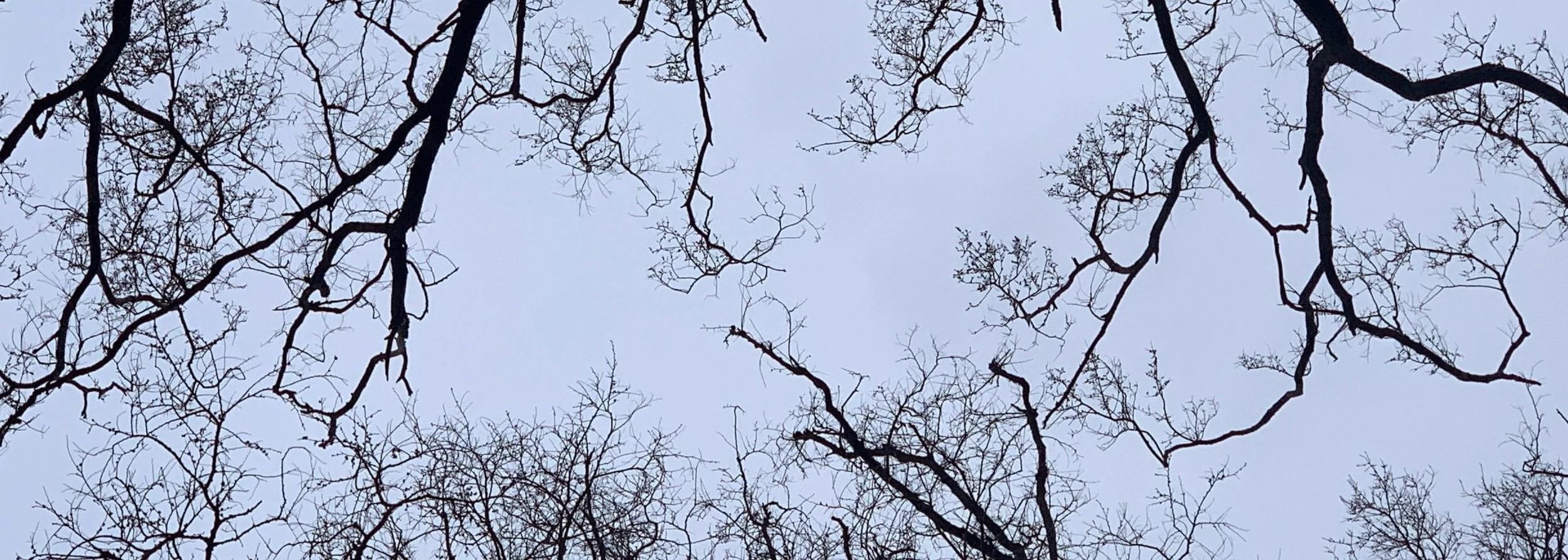 Private Session — Make Meaning Workshop