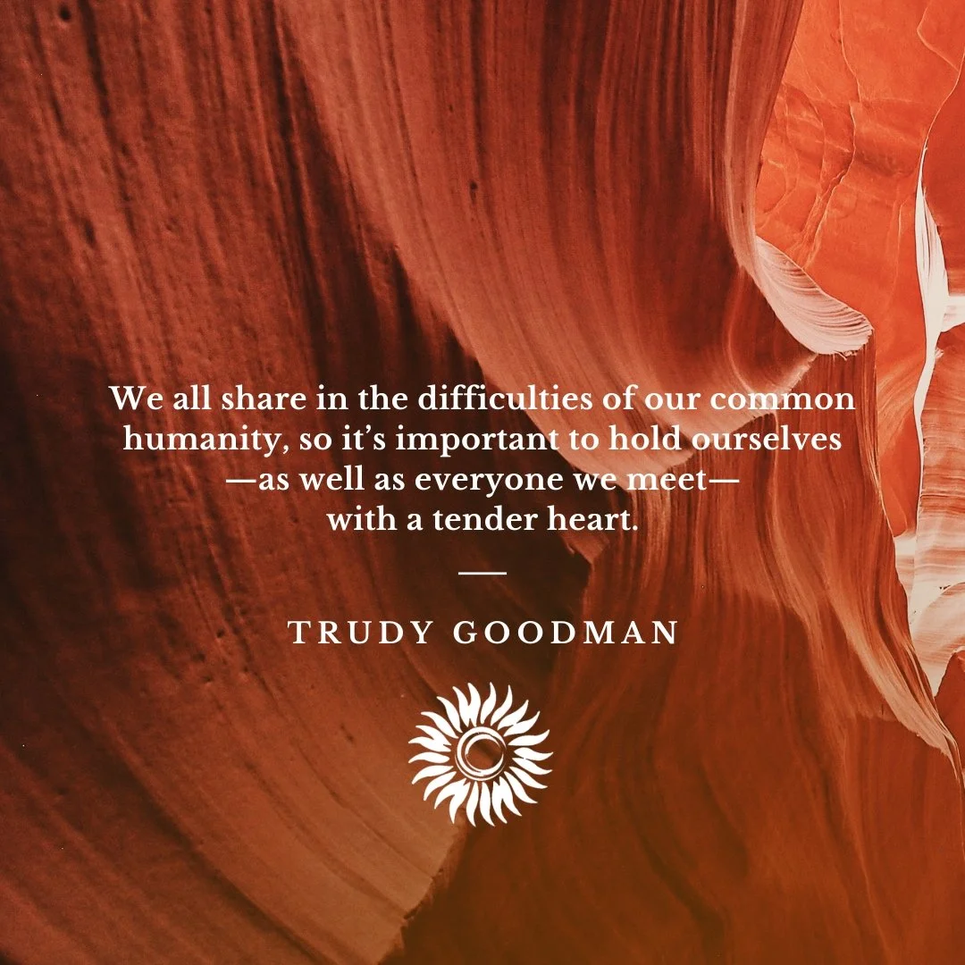 Trudy Goodman’s Journey to the Present Moment — Quest for Eternal Sunshine