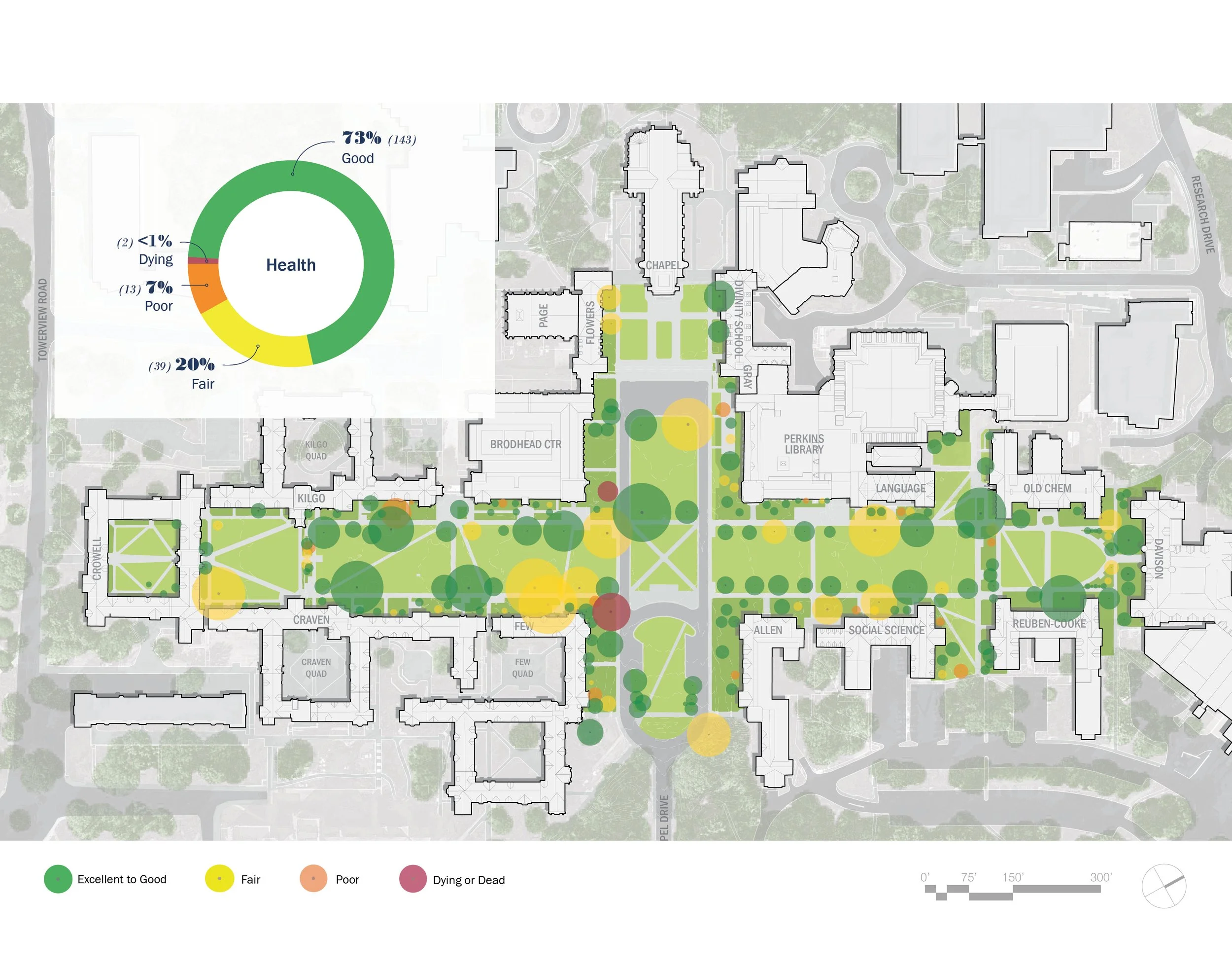 Duke Abele Quad Tree and Soil Framework Plan — Wolf Josey Landscape ...