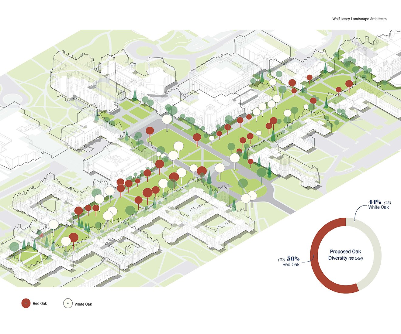 Duke Abele Quad Tree and Soil Framework Plan — Wolf Josey Landscape ...