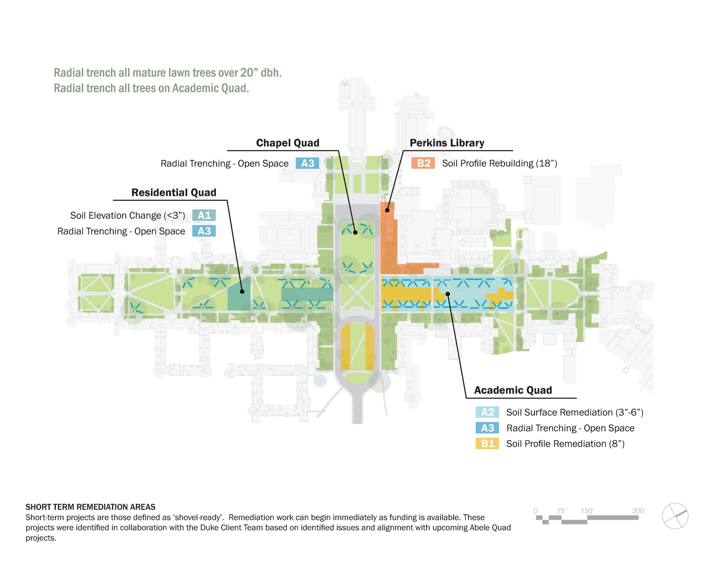 Duke Abele Quad Tree and Soil Framework Plan — Wolf Josey Landscape ...