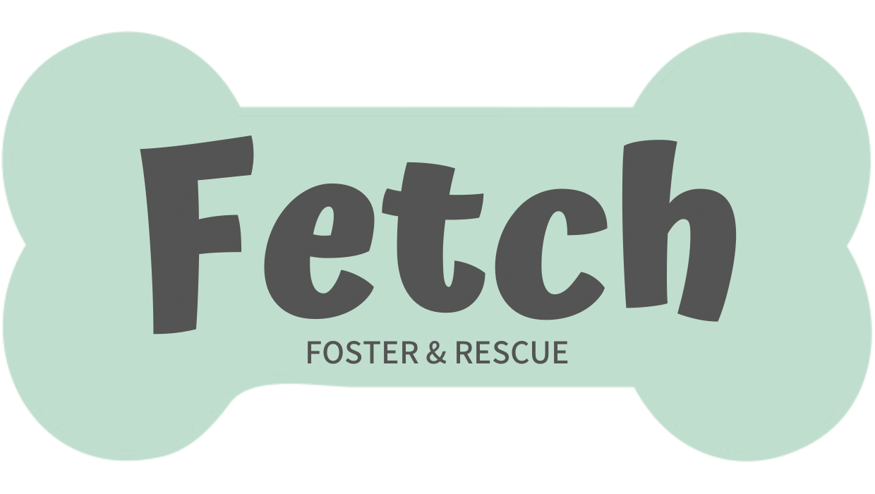 Fetch Foster and Rescue