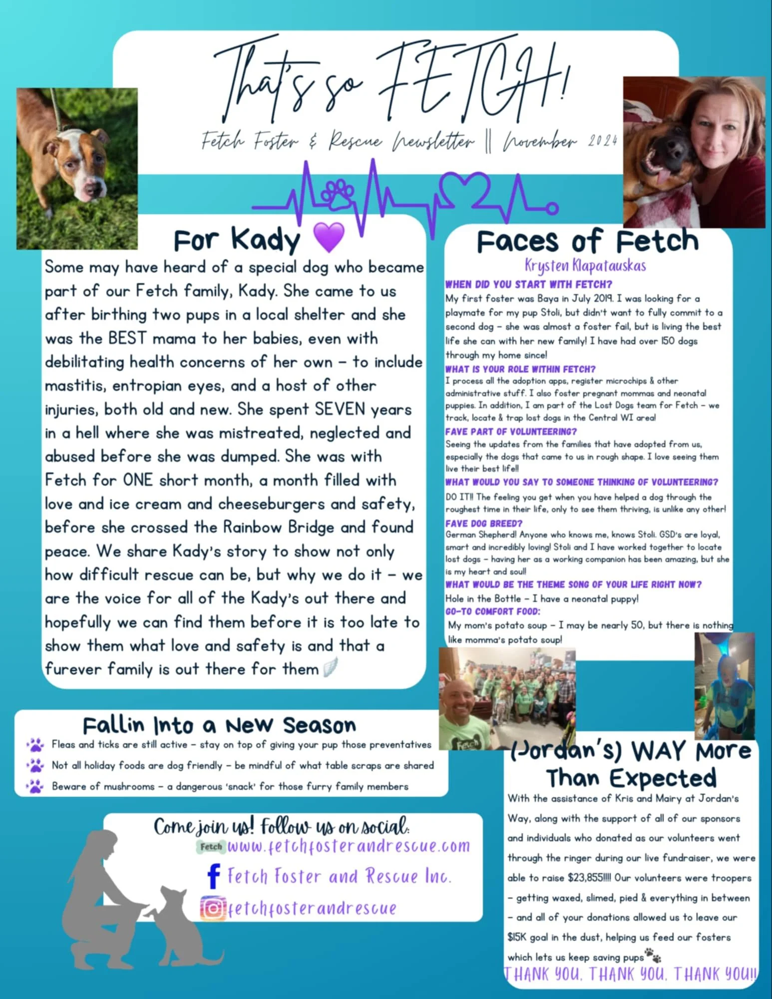 Fetch Foster and Rescue