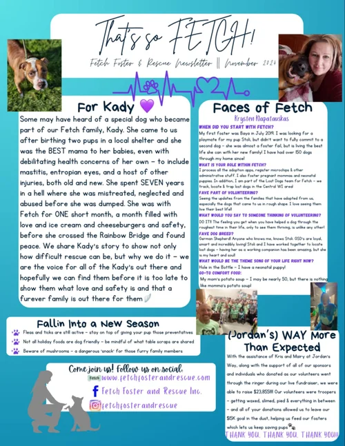 Fetch Foster and Rescue