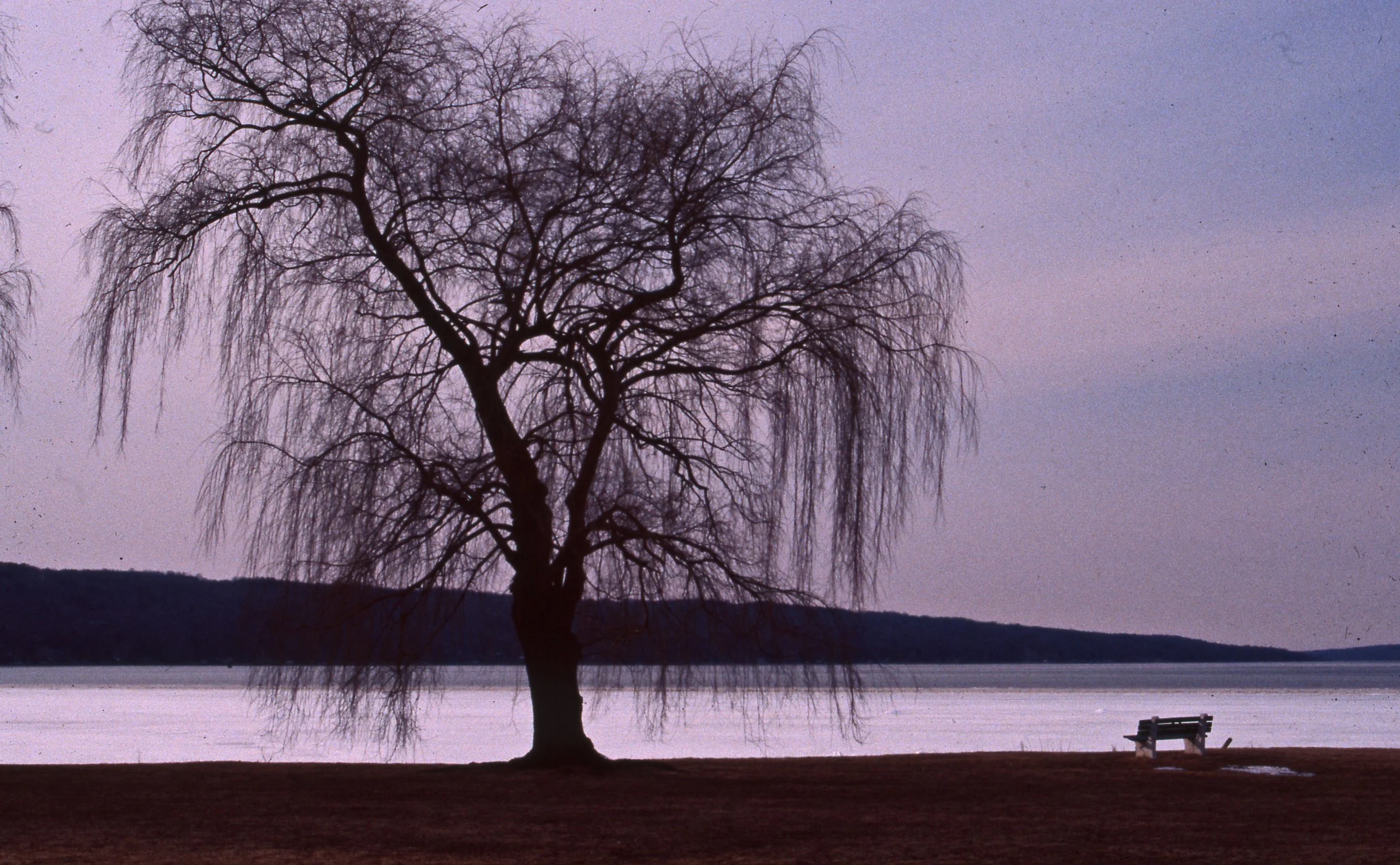 Cornelliana — The Life and Media of Gordon F. Sander