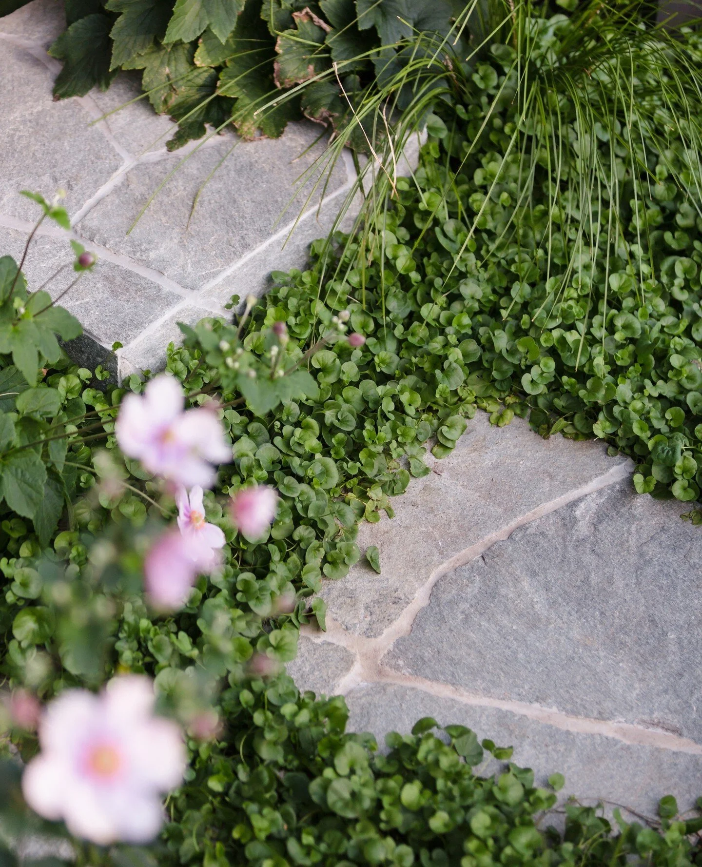 Green Exteriors | Landscape Construction Melbourne