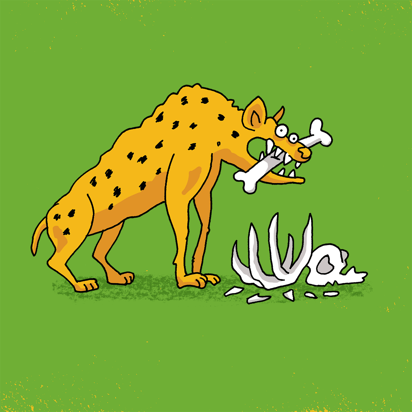 Gifs — Andy Smith Illustrator