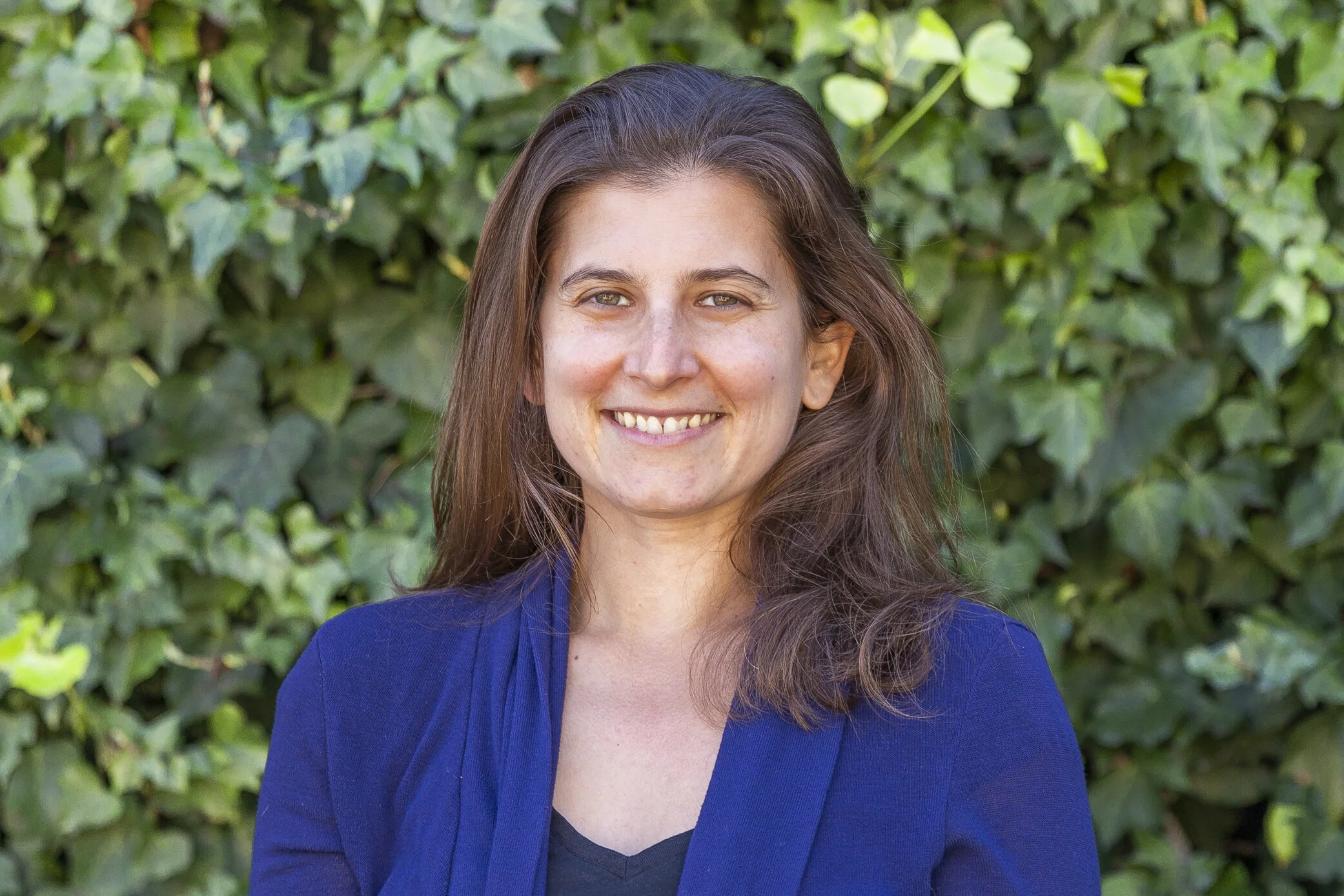 About Us — The Albani Group