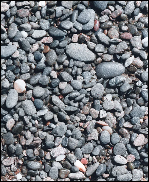 Photographic Champlevé enamels — René Roberts