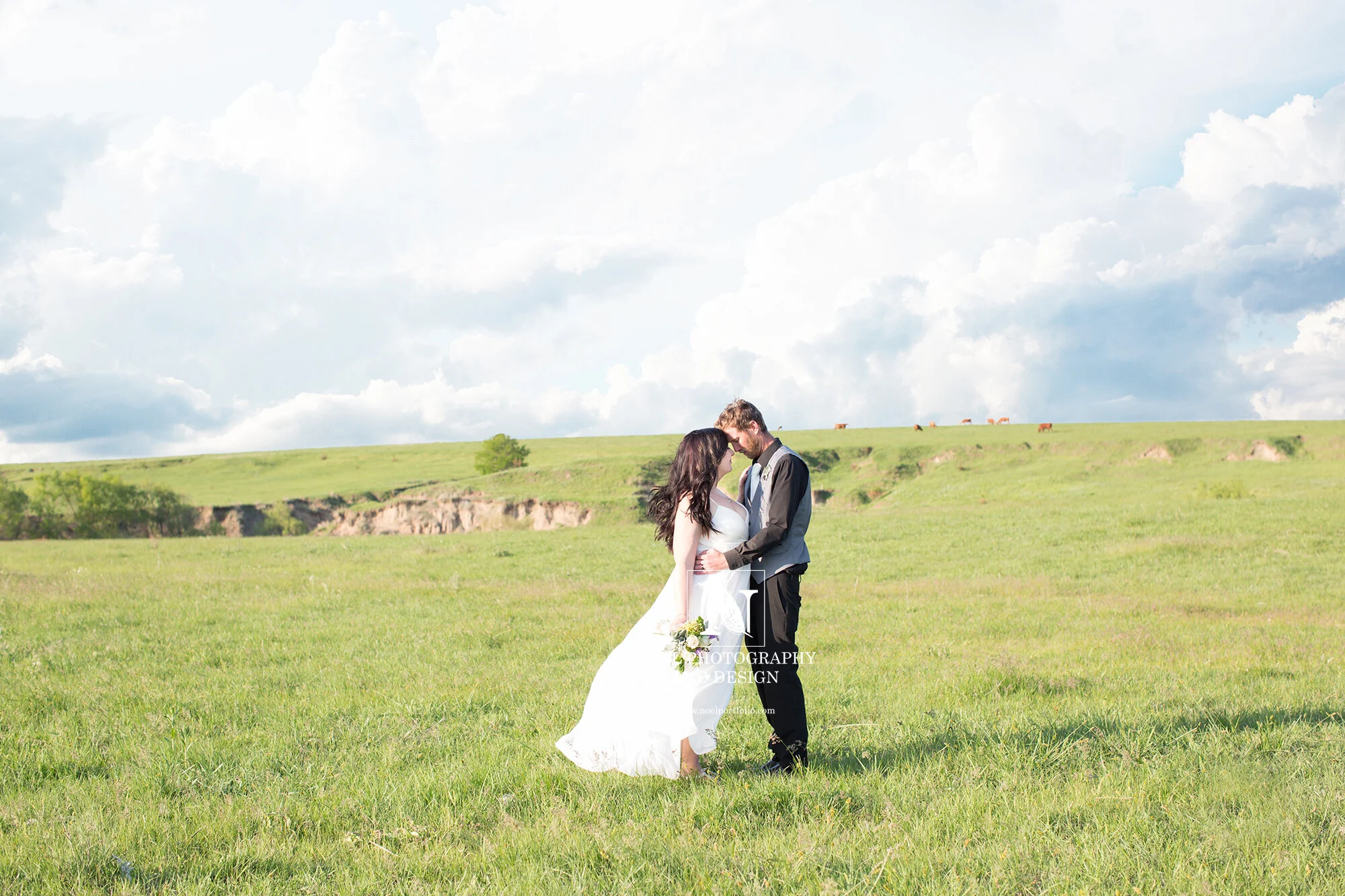 Artist Info — Noel Photography and Design