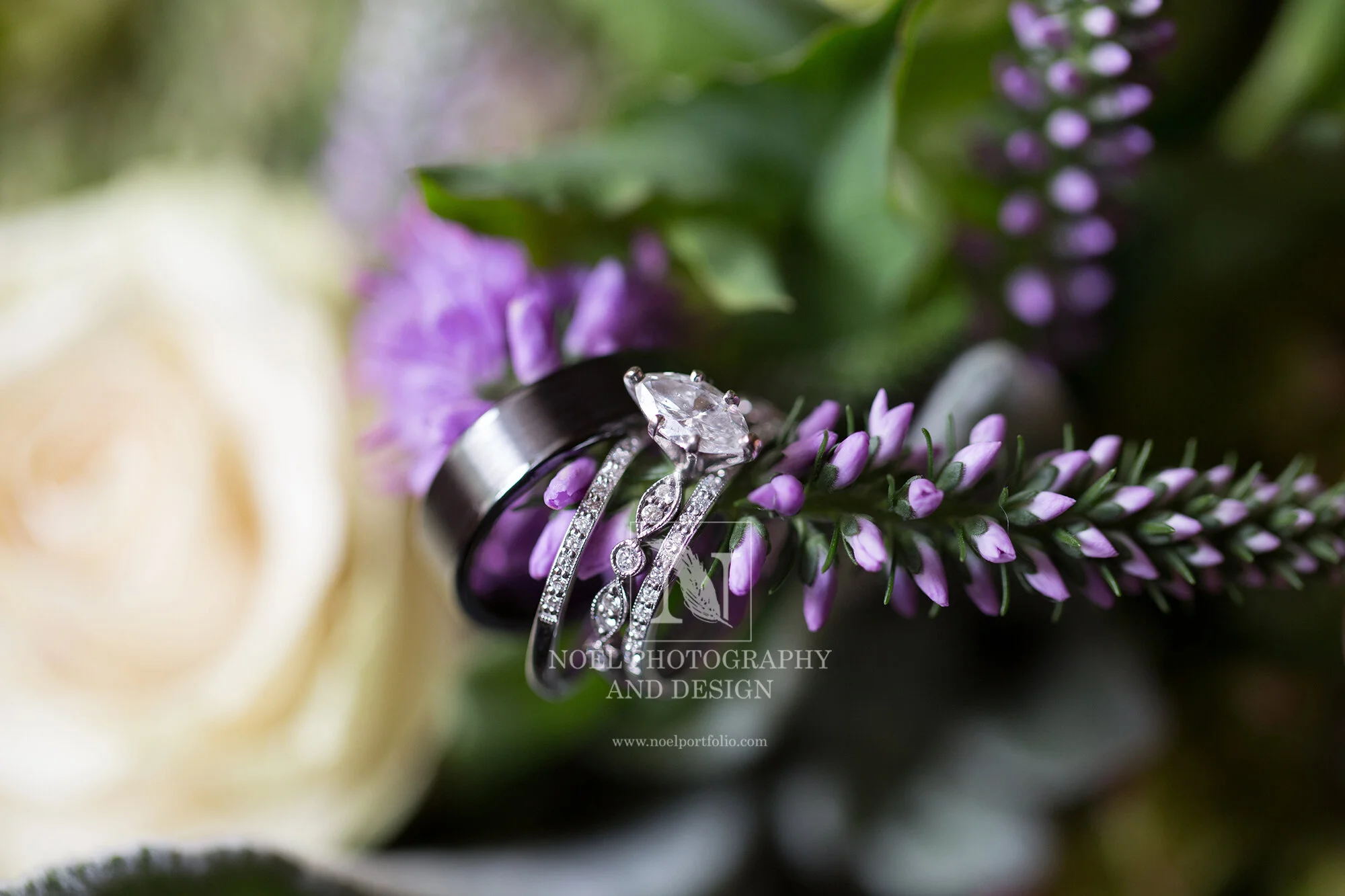 Artist Info — Noel Photography and Design