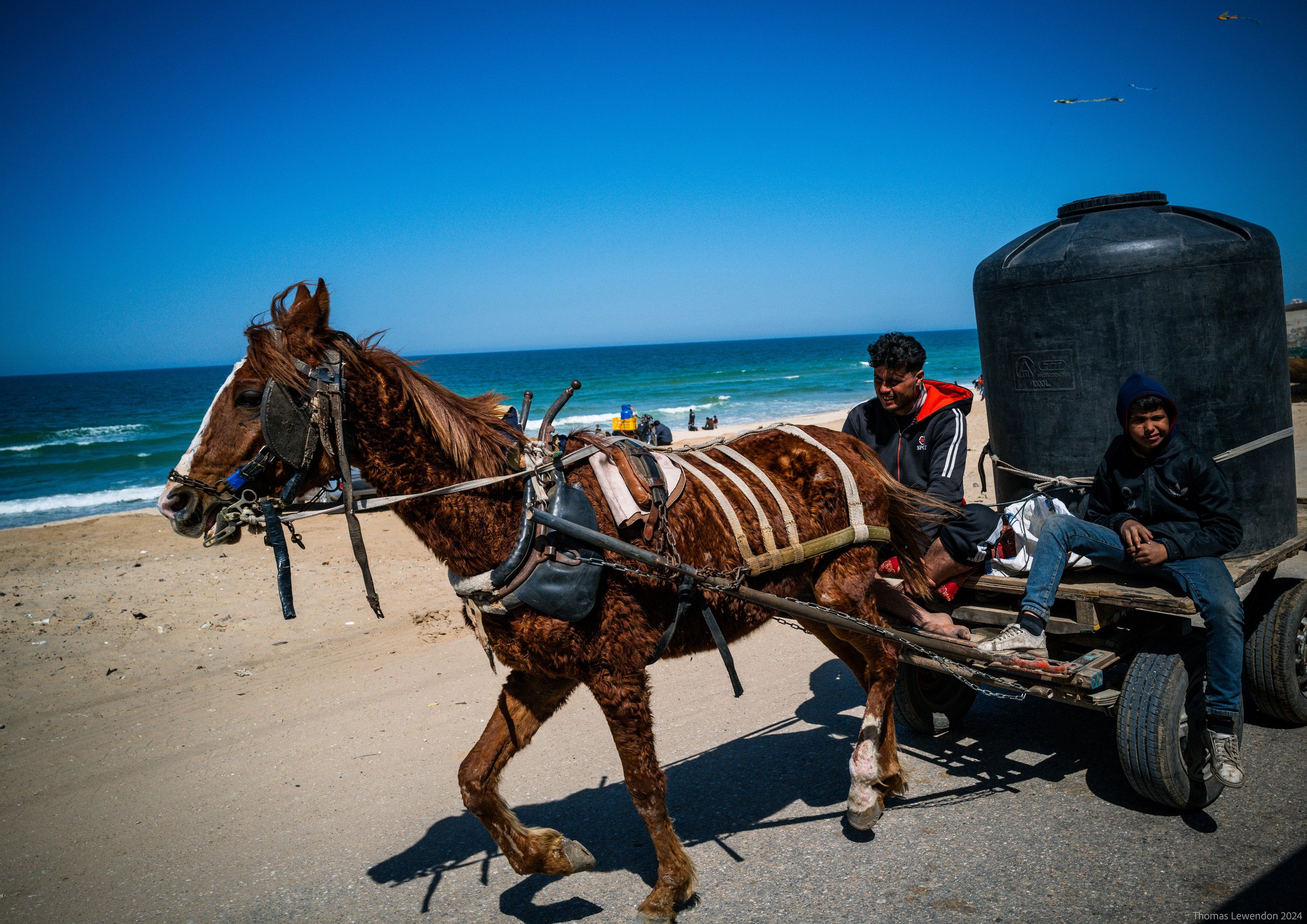 Children of Gaza — Tom Lewendon