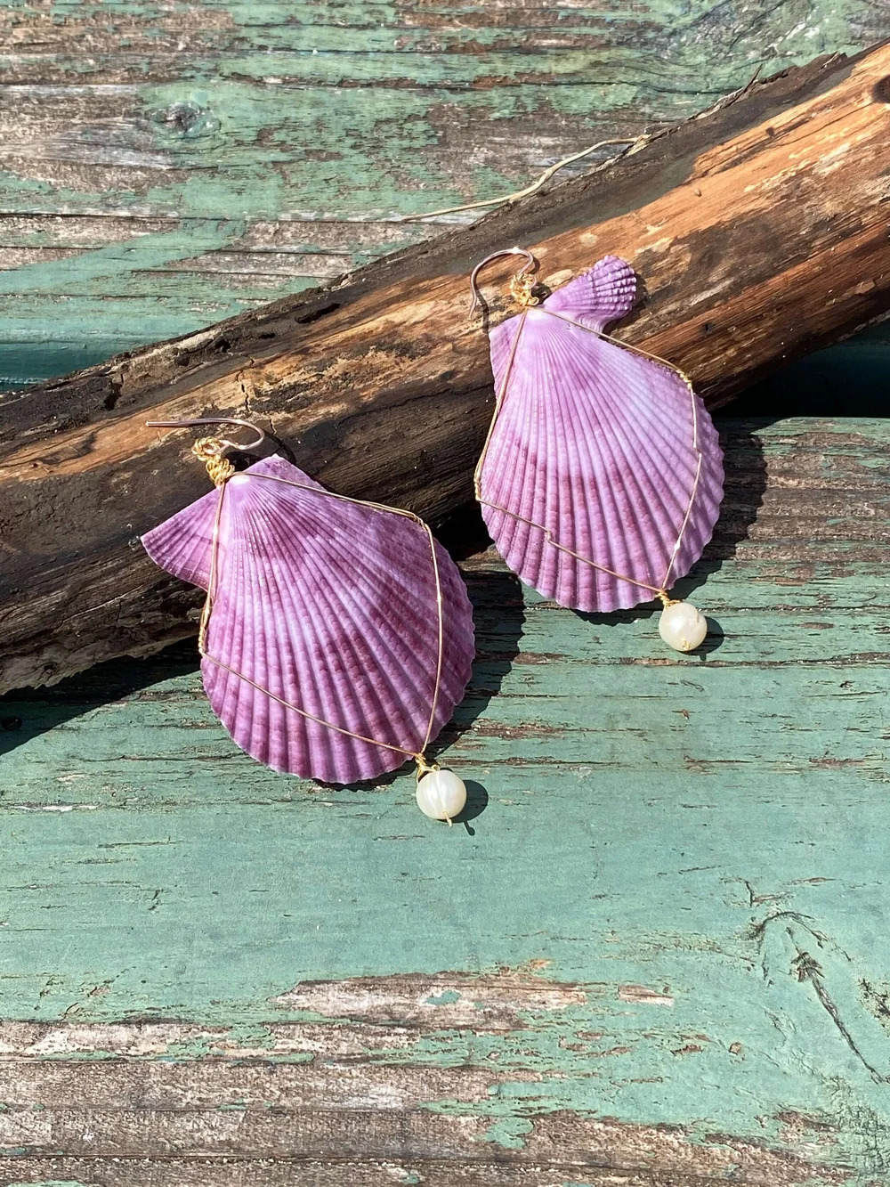 Purple Seashell
