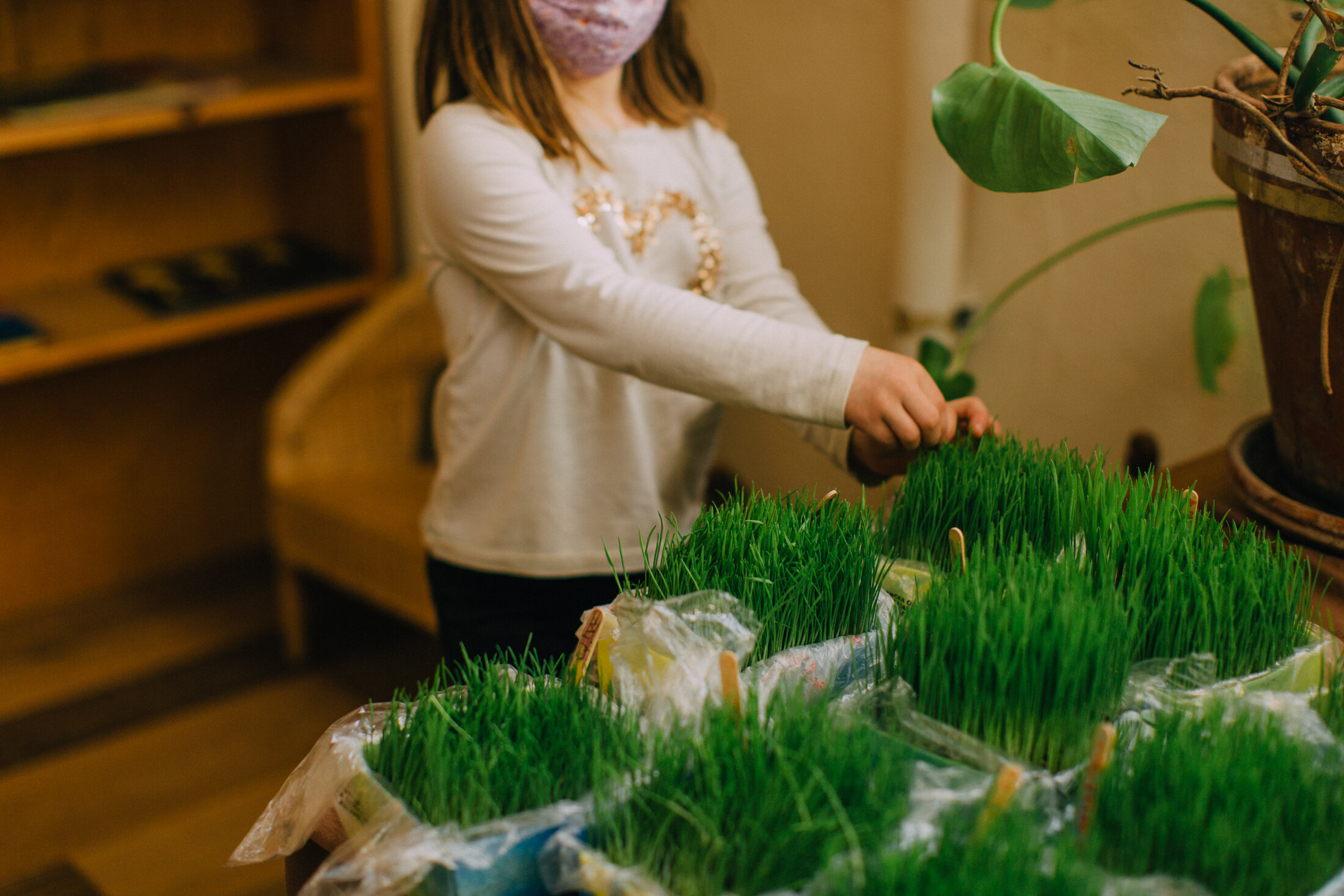 Learning is Multi-Sensory. Teaching Should Be Too. — Cedarwood Waldorf