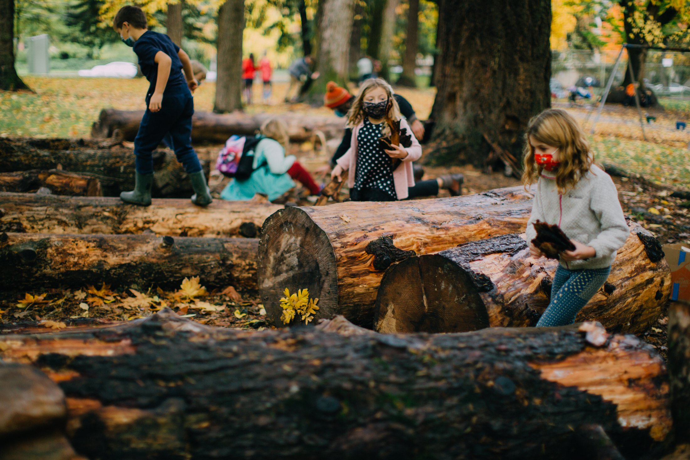 Imagination is Key to Solving the Environmental Crisis — Cedarwood Waldorf