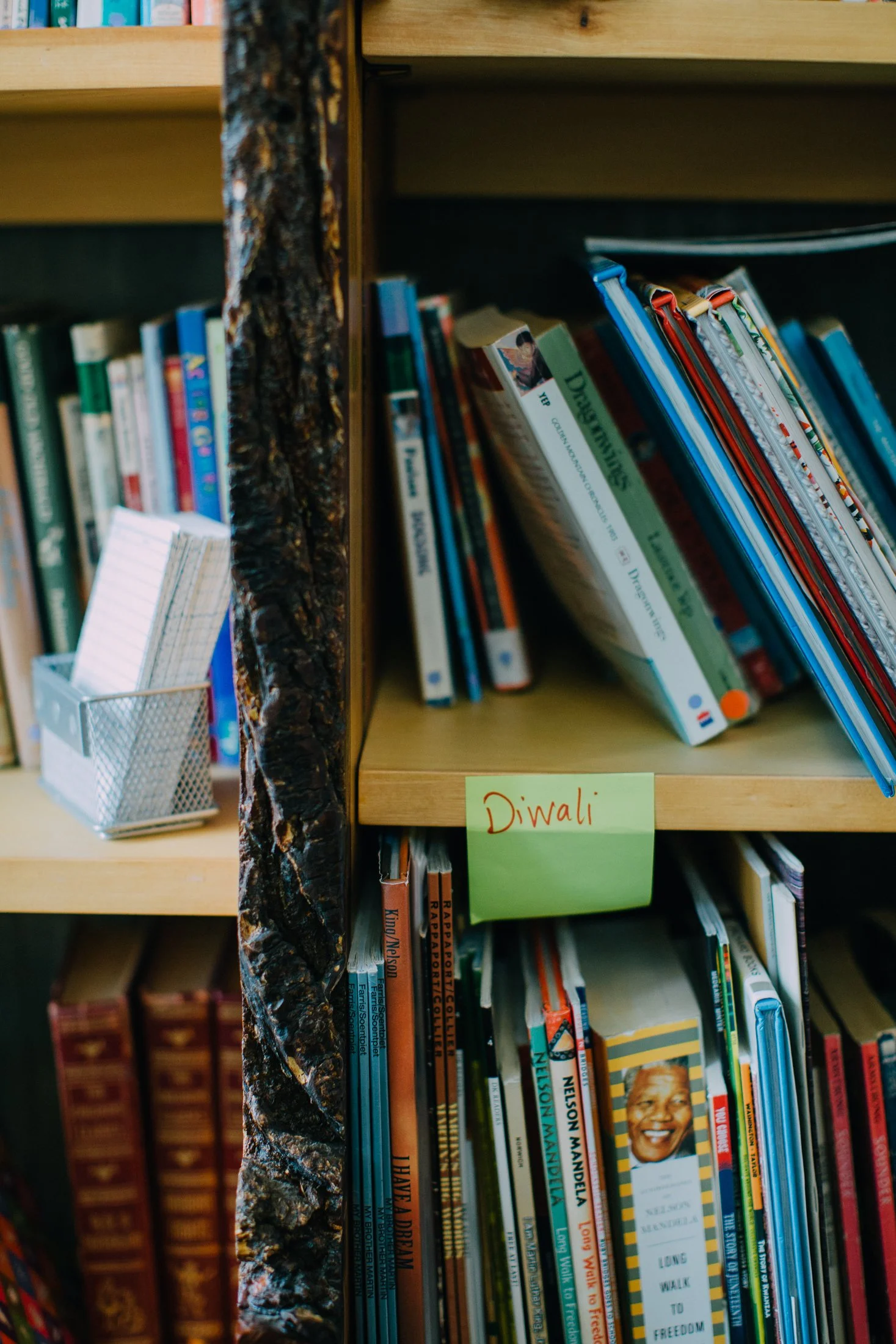 Update: Building a Better Library — Cedarwood Waldorf