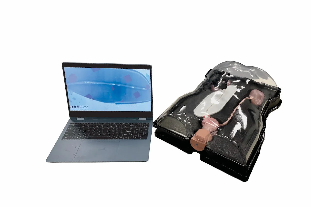 EndoSim Evidence-Based Simulation