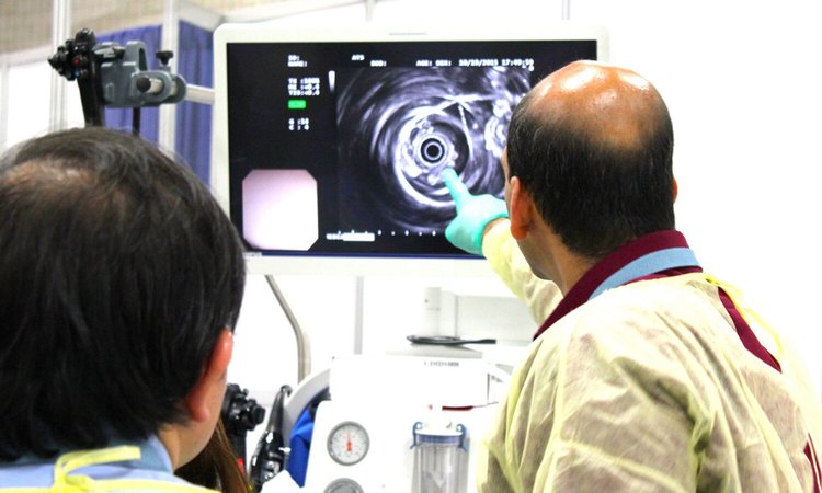 Gastrointestinal Endoscopy Specimen Models and Simulators — EndoSim ...
