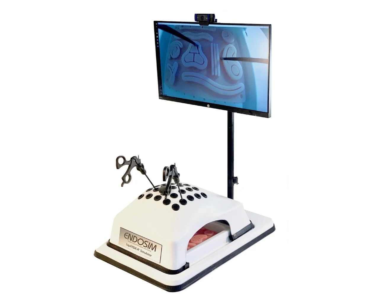 EndoSim Evidence-Based Simulation