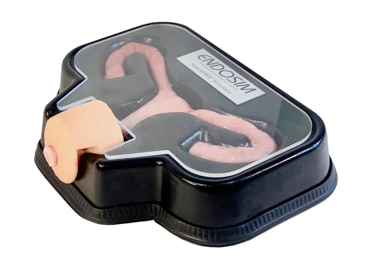 Product Page — EndoSim Evidence-Based Simulation