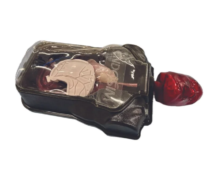 EndoSim Evidence-Based Simulation