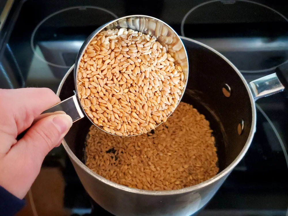 Stove Top Wheat Berry Recipe — Farm Fresh Wheat | White Wheat Berries ...