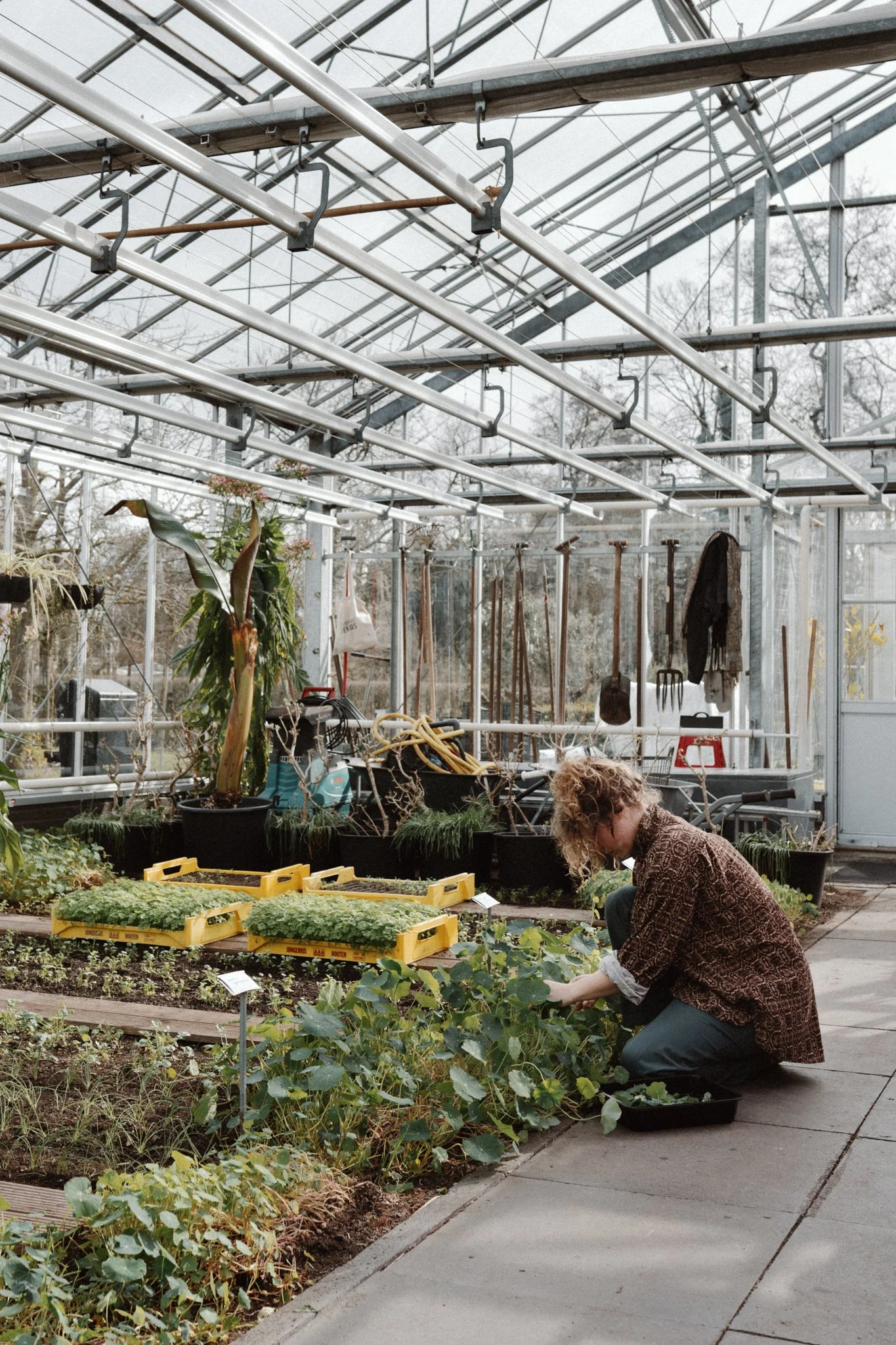 PICKED IN THE MORNING, SERVED IN THE AFTERNOON — Restaurant de Kas