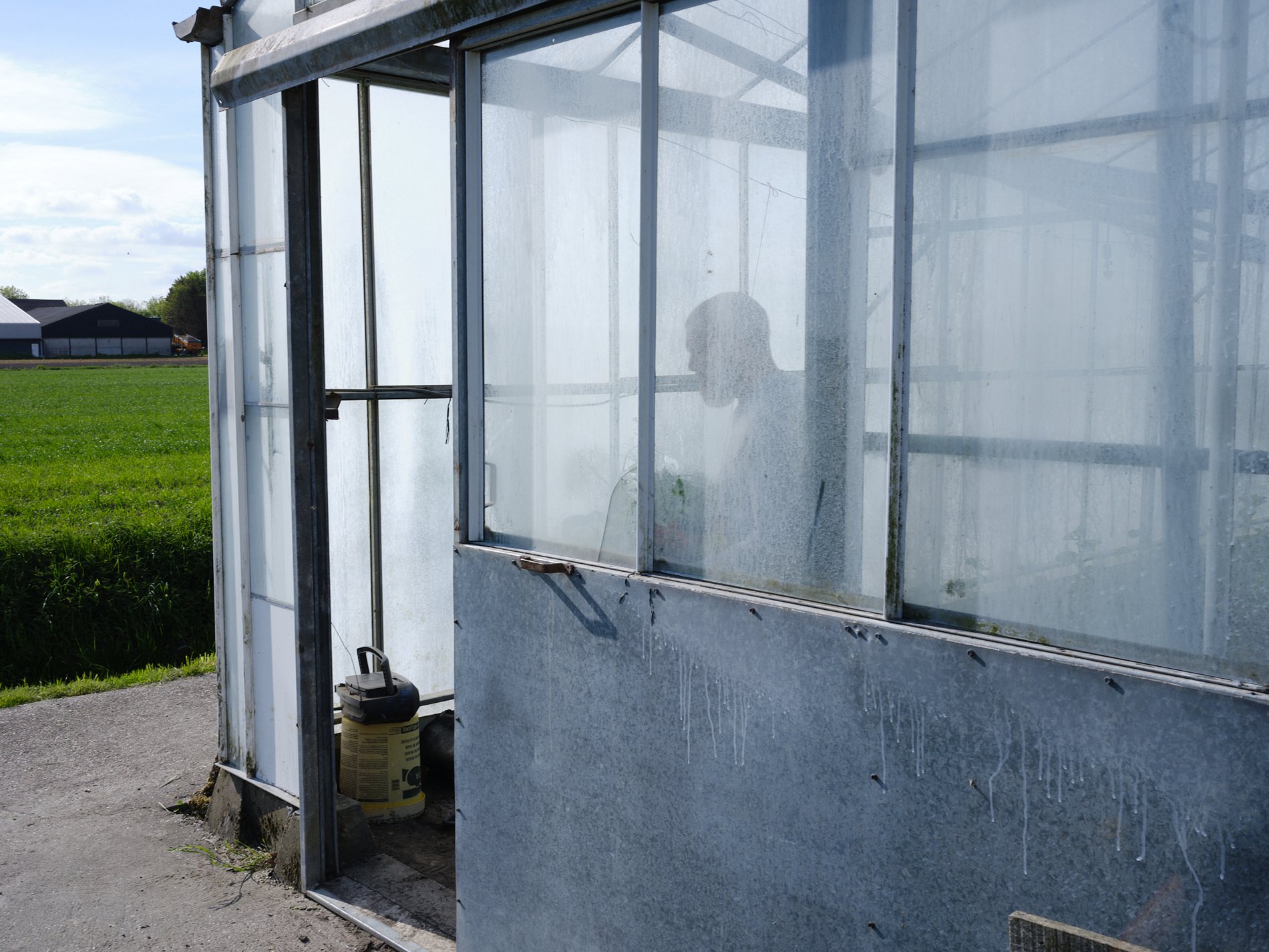 PICKED IN THE MORNING, SERVED IN THE AFTERNOON — Restaurant de Kas