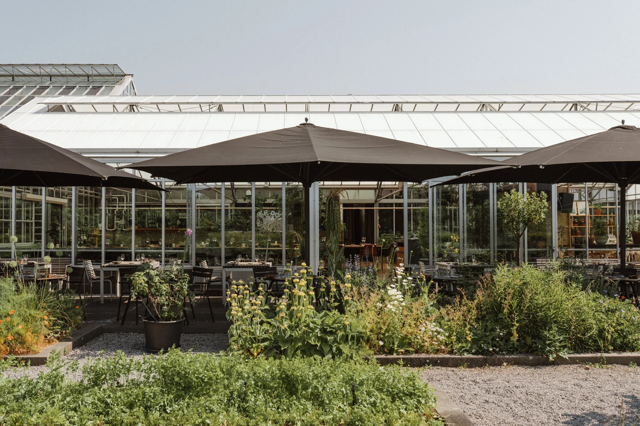 THE GARDEN FORMS THE SOUL OF OUR RESTAURANT, OUR MENU AND OUR VISION ...