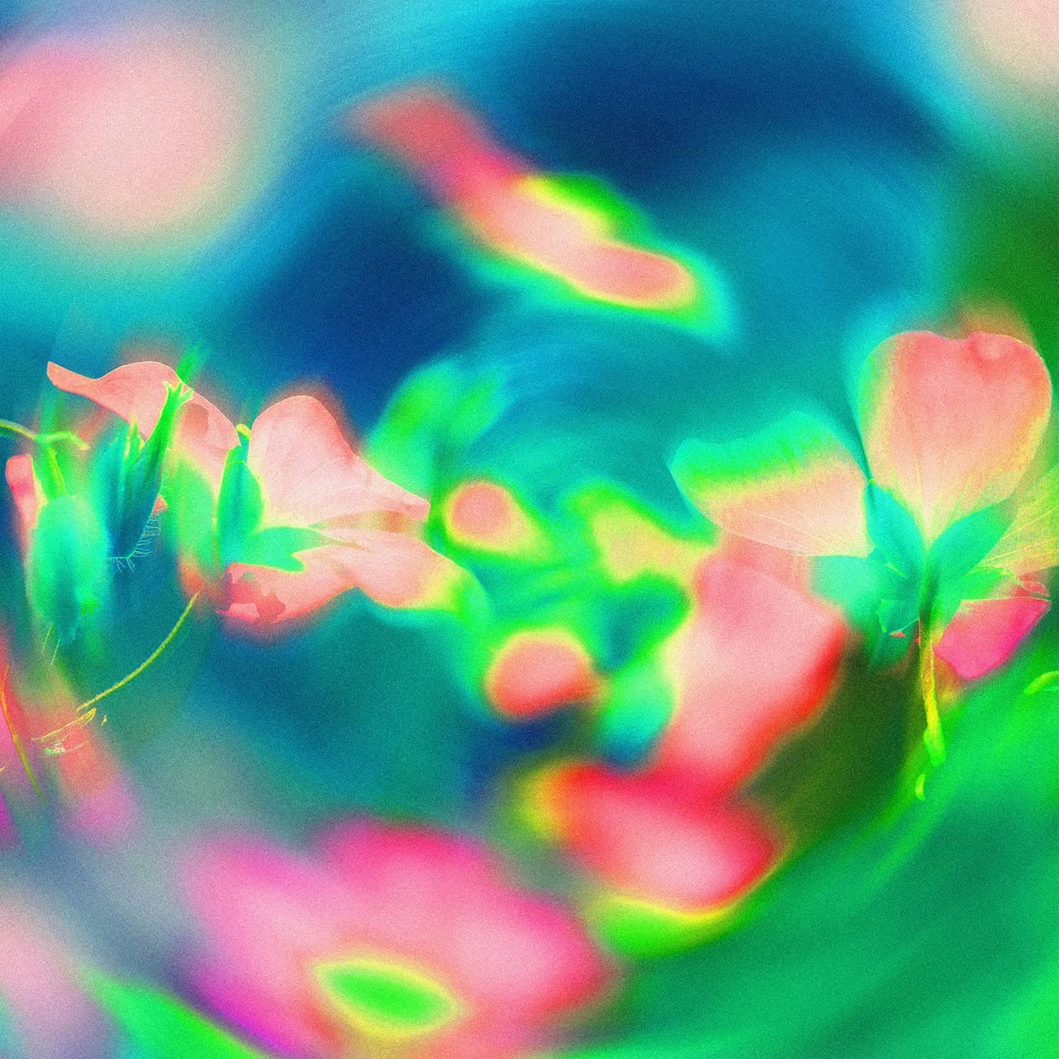 About Us — Purpose Disruptors