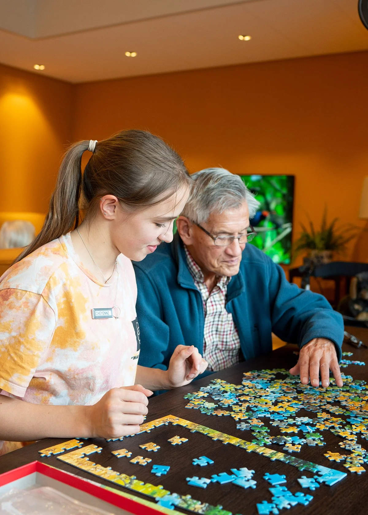 De drie dementie fases — Claris zorggroep