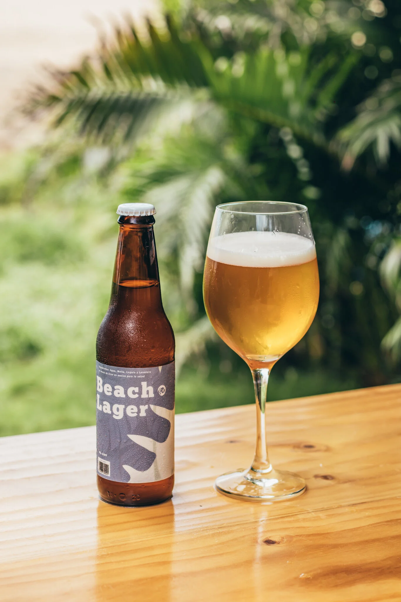 The Beer — Papagayo Brewing co