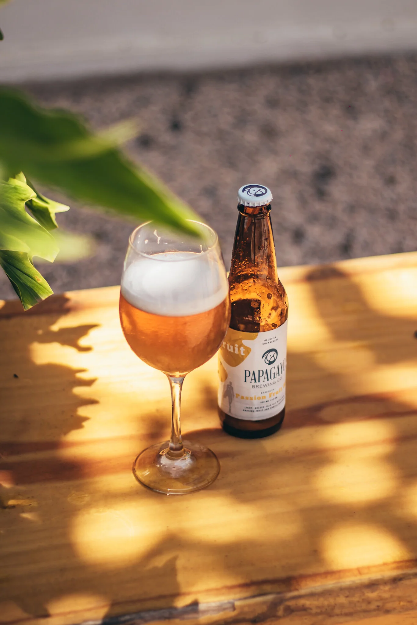 The Beer — Papagayo Brewing co