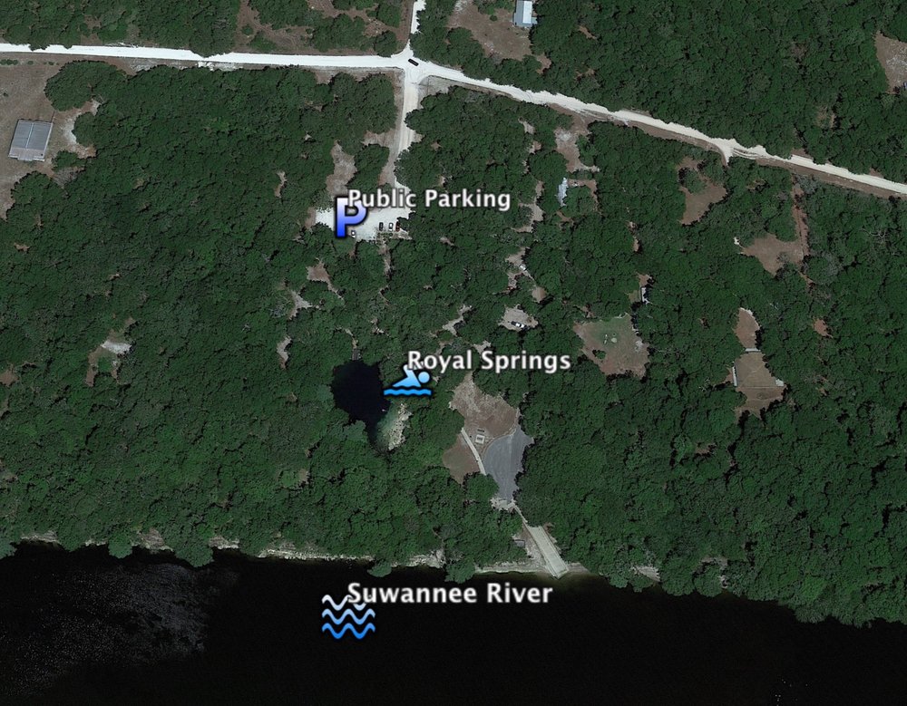 Royal Springs | Live Free Diving