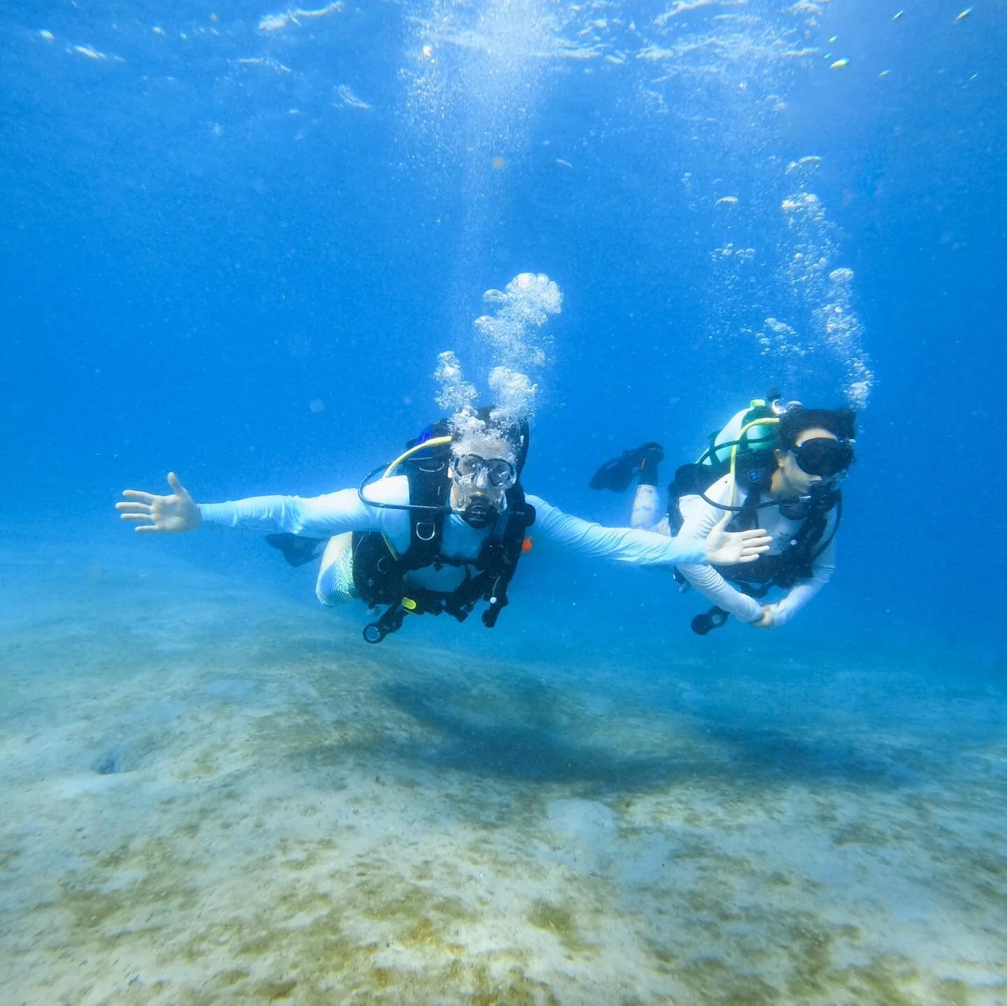 Live Free Diving