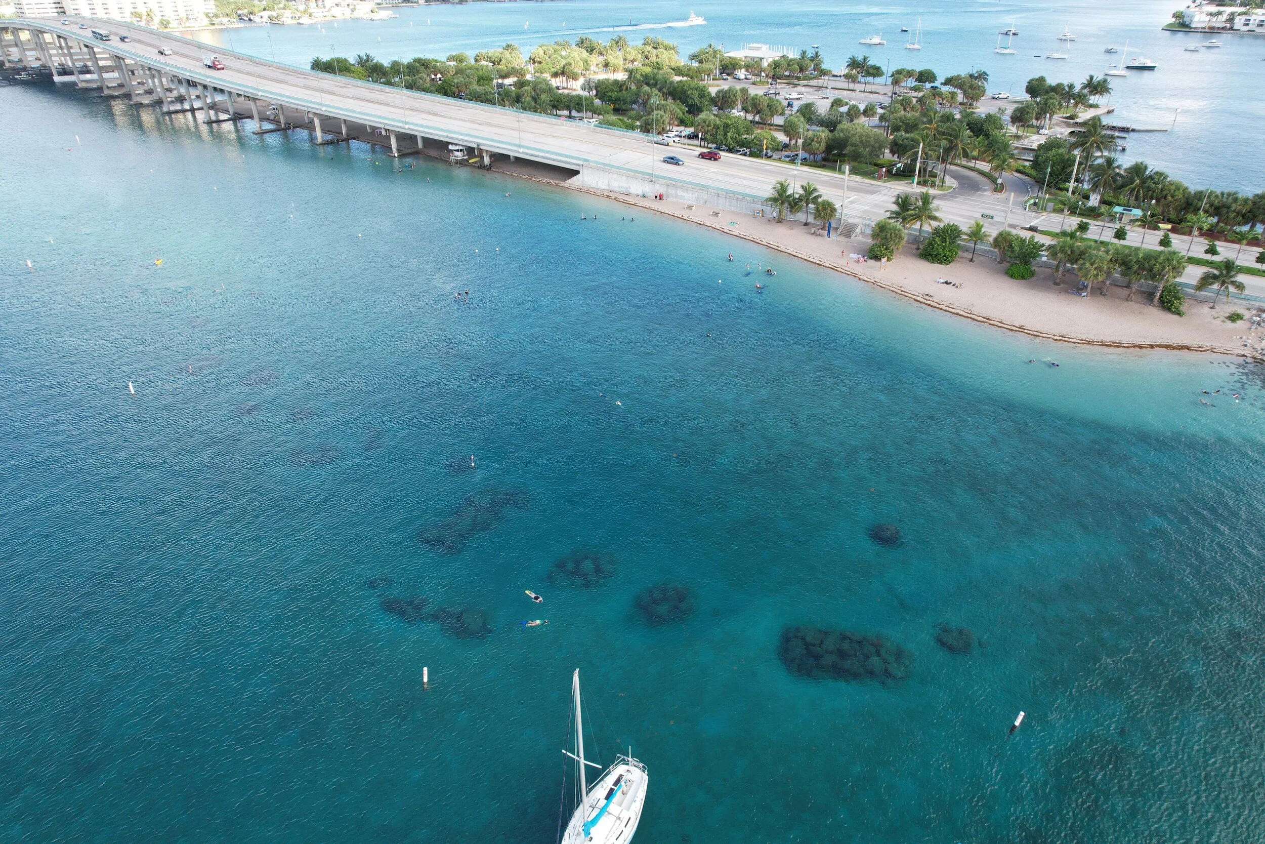 Live Free Diving: Freediving Courses & Training Florida