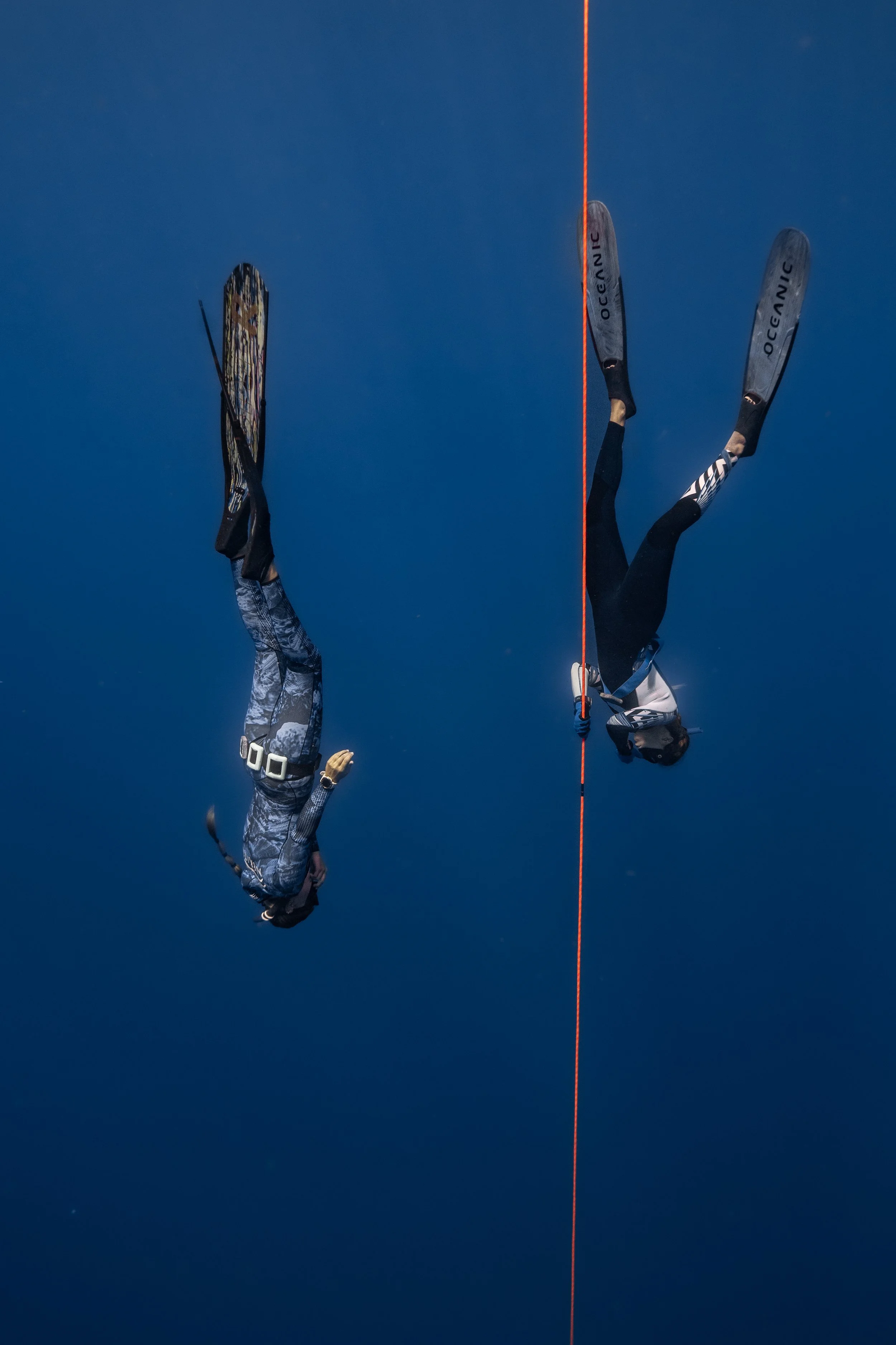 Schedule - PADI Freediver Courses Florida — Live Free Diving