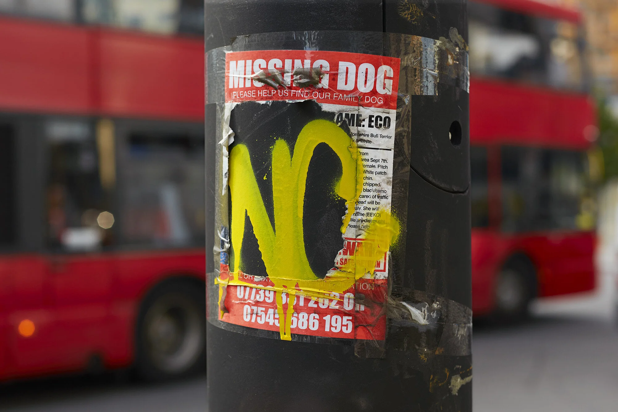 Richard Maidment Photography