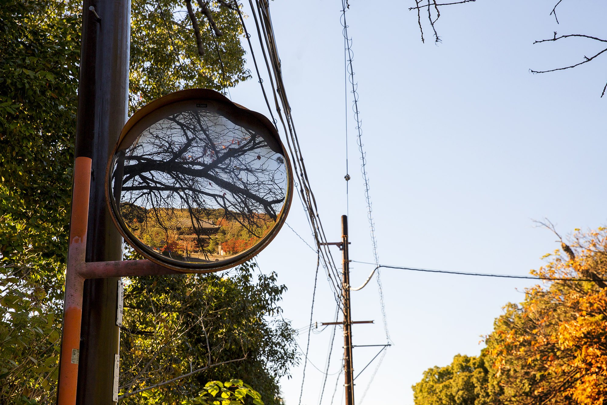 Japan Photography - Richard Maidment Photography
