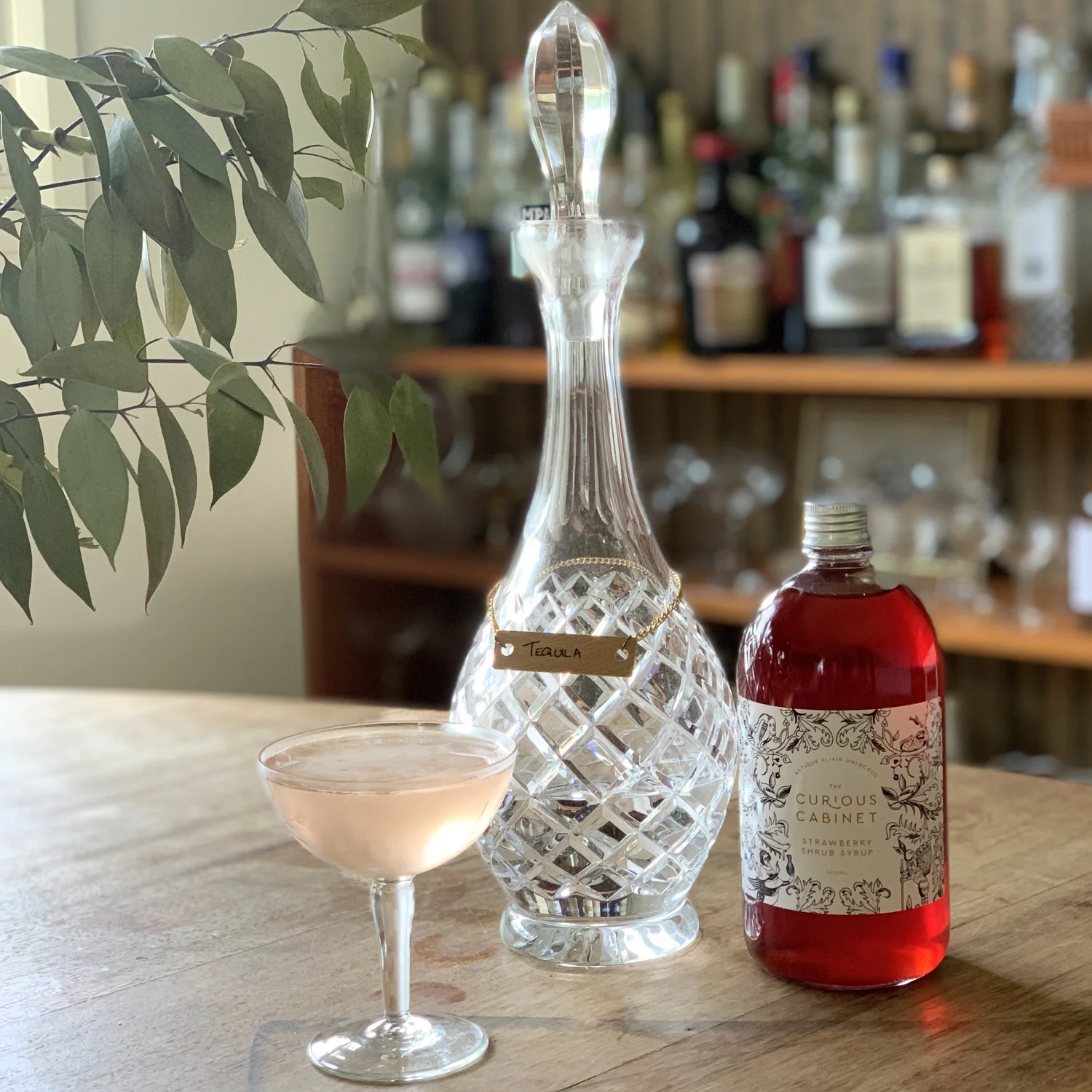 What are Shrub Syrups? A deep dive into their history and their uses ...