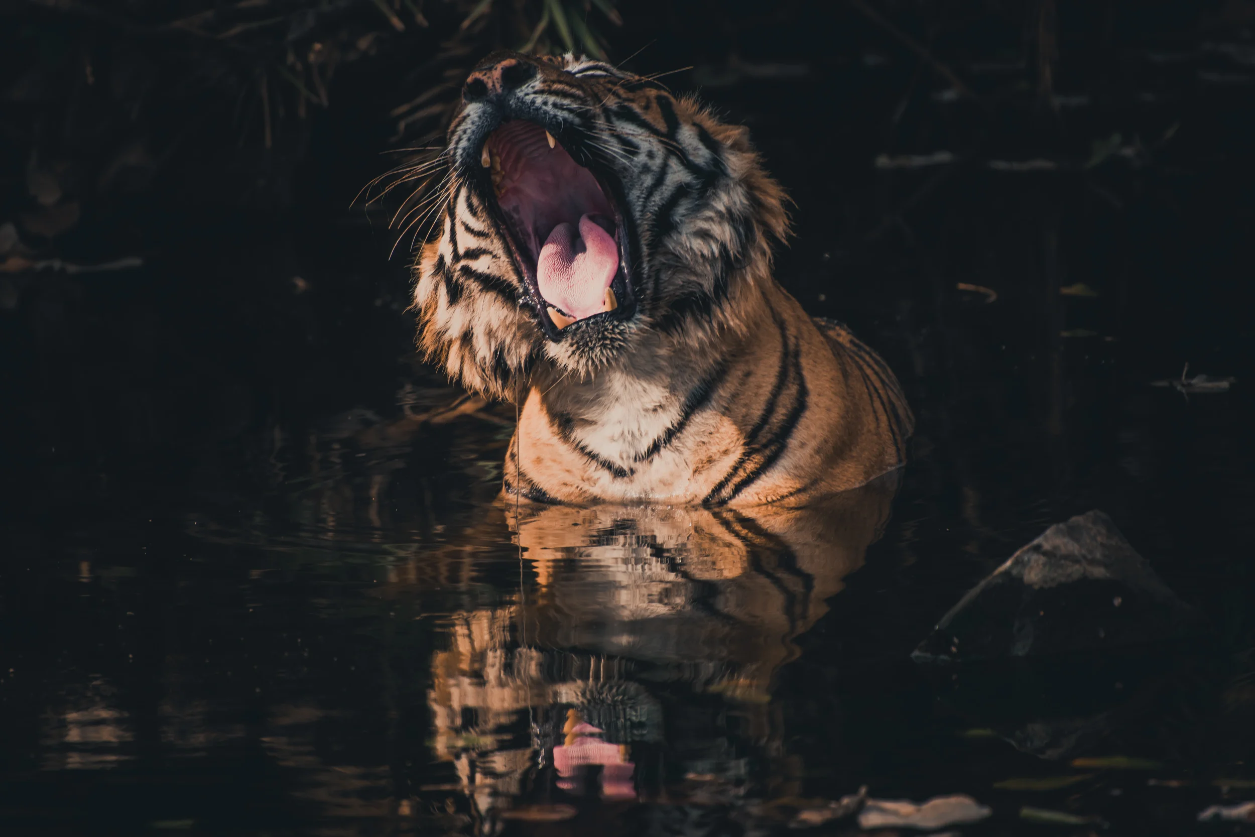 Yobel Prize Photography