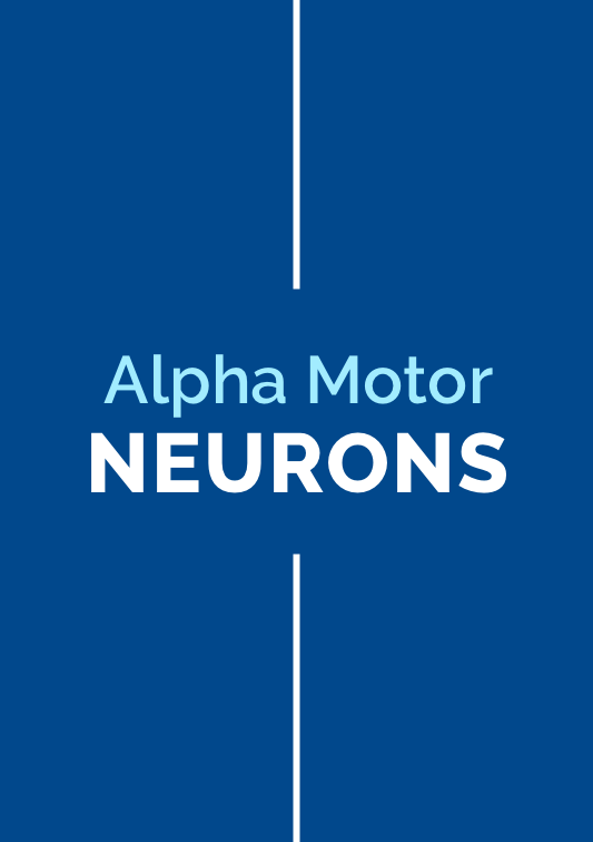 Blog — NEURO NEW ME