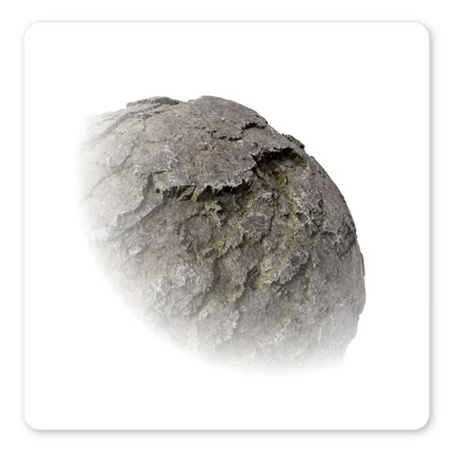 Pro Revit Materials & Hatch Collection — Revit Template