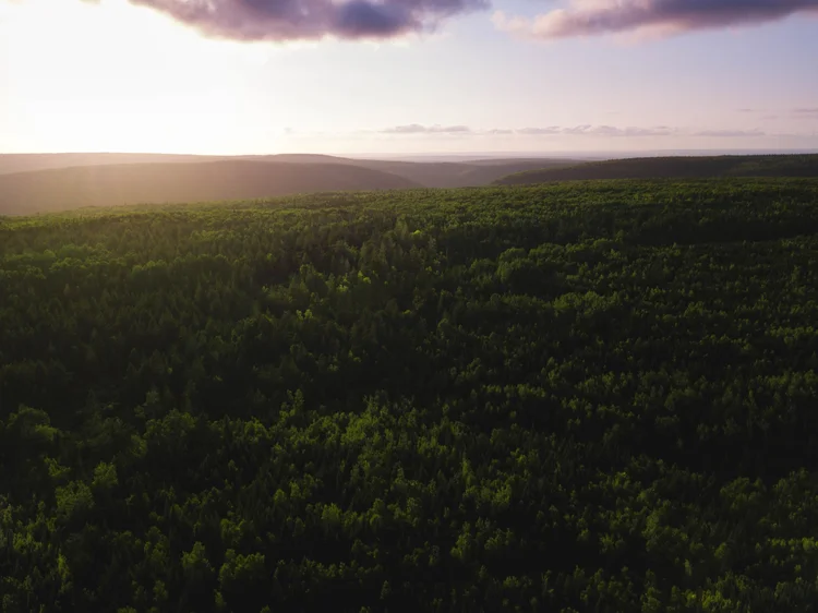 History 95 Years of Conservation — Moncton Fish and Game Association