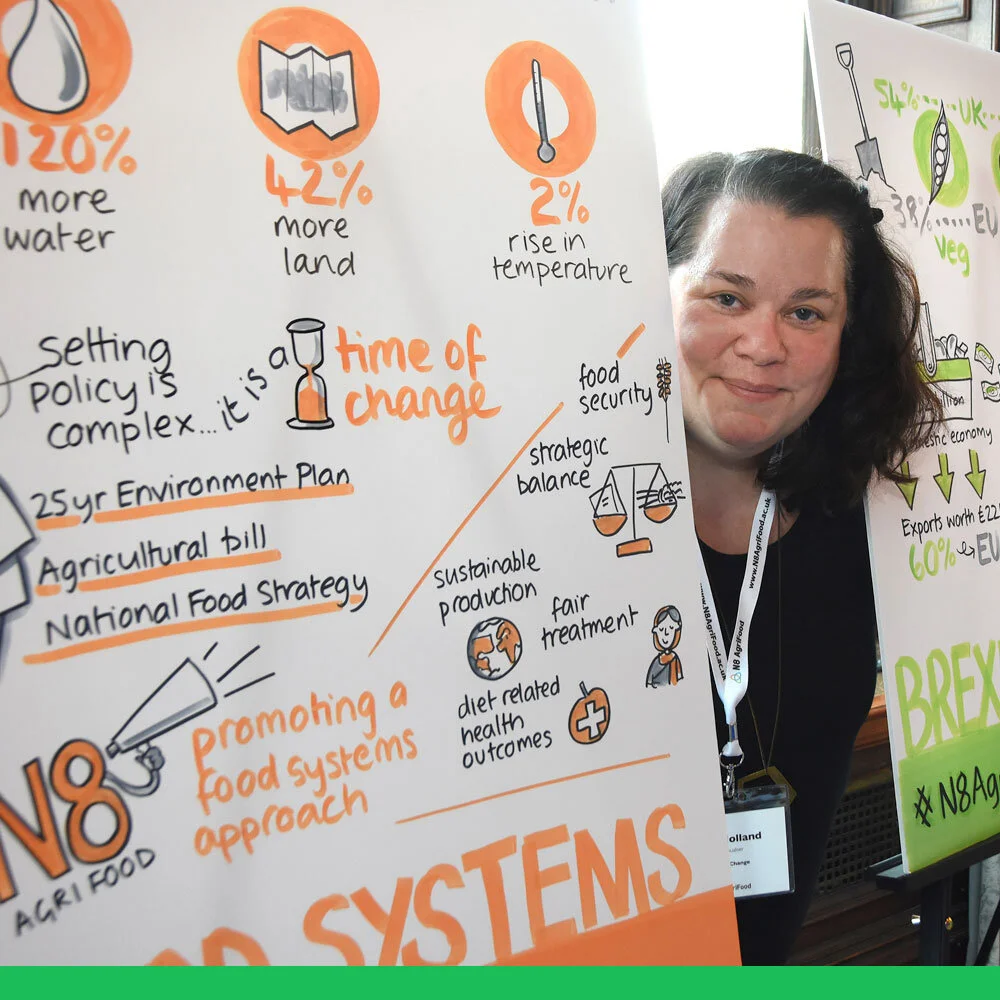 Graphic Facilitation and Graphic Recording training — GRAPHIC CHANGE