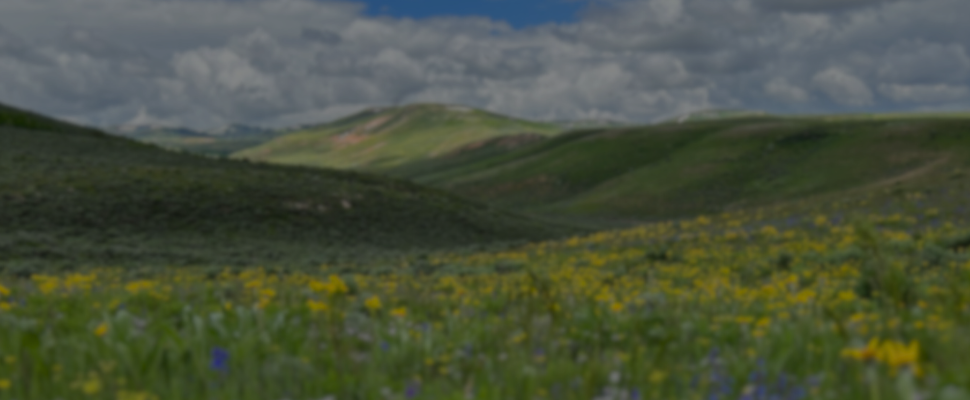 Working Lands Conservation